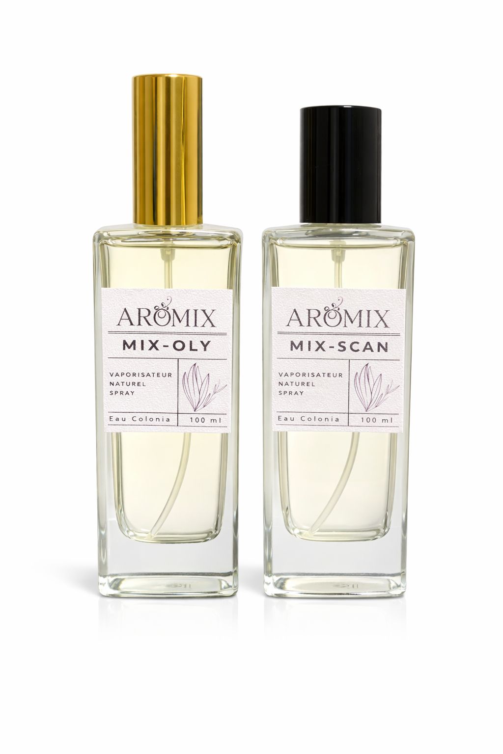 Perfumes Femininos Comuns - Contratipos (100ml) – Aromix Essências